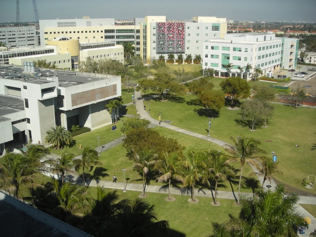 10 Largest Colleges in the United States - Largest.org