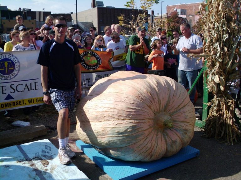 10 Largest Pumpkins Ever Grown - Largest.org
