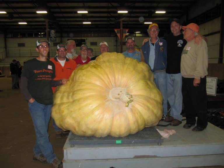 10 Largest Pumpkins Ever Grown - Largest.org
